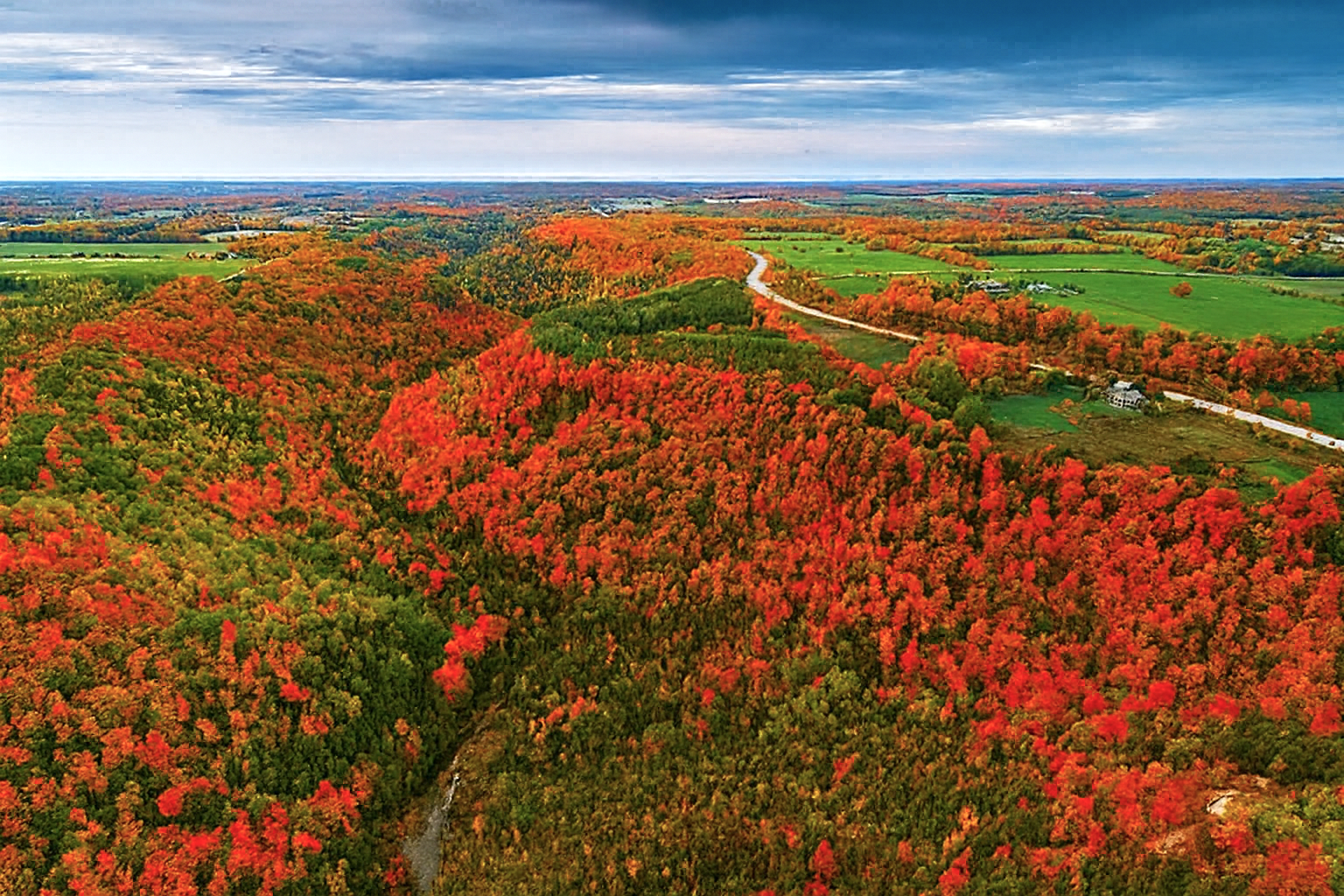 Guided Trip to Devil's Glen Provincial Park Bus Tours | Day Trips & Adventures | Parkbus
